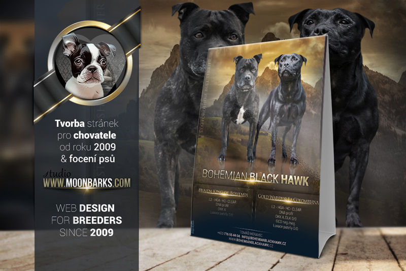 Breeder webdesign, dog kennel design, Best dog breeder webdesign, dog ...